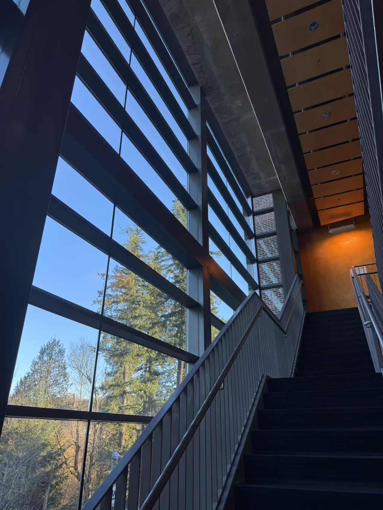 UWB Campus Photography by Kaiyi Wang – The Husky Herald